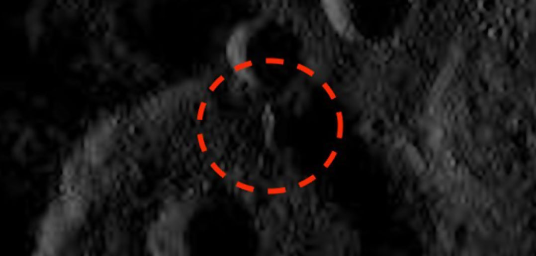 Enormous Tower On Ceres Spotted In Official NASA Images » The Event ...
